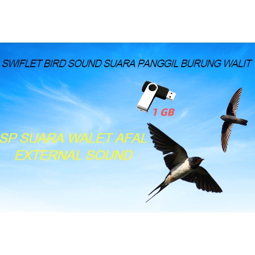 SWIFTLET SWIFLET BIRD SOUND SUARA PANGGIL BURUNG WALIT WALET 燕子 声 MP3 ...