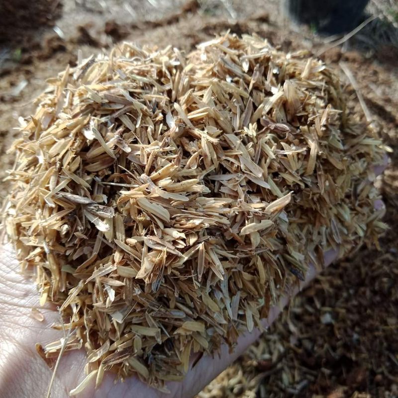 Sekam Padi Mentah (Packing Kecil) | Shopee Malaysia