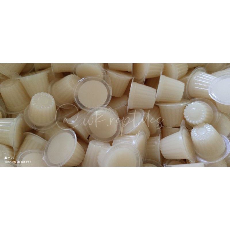 BEETLE JELLY (30PCS) | Shopee Malaysia