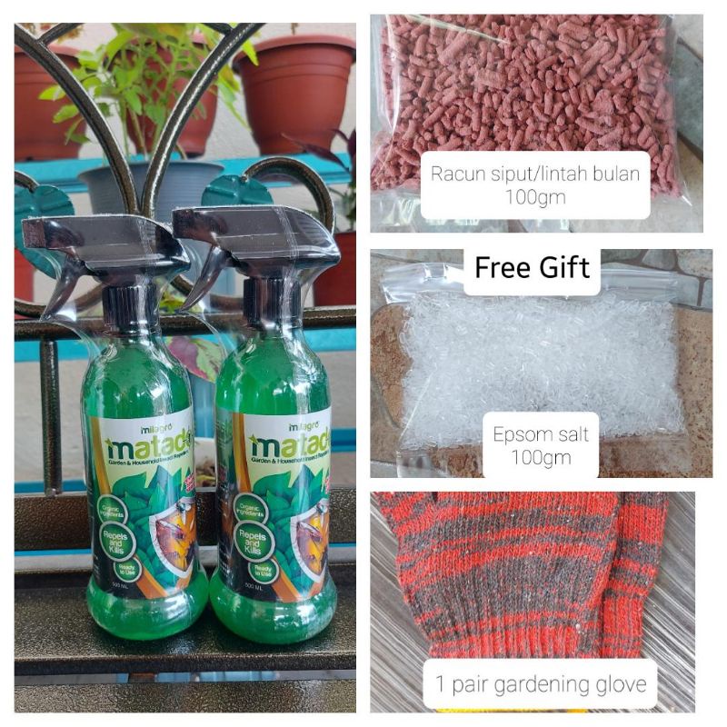 2 Botol racun serangga Matado keluaran Milagro (rm60) + 3 free gift ...