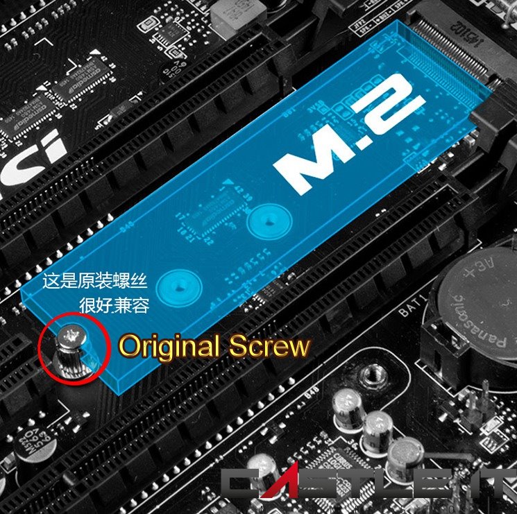 OEM 3mm M.2 Screw for use in M.2 SSD (Screw Only) Thumb / Compatible M ...