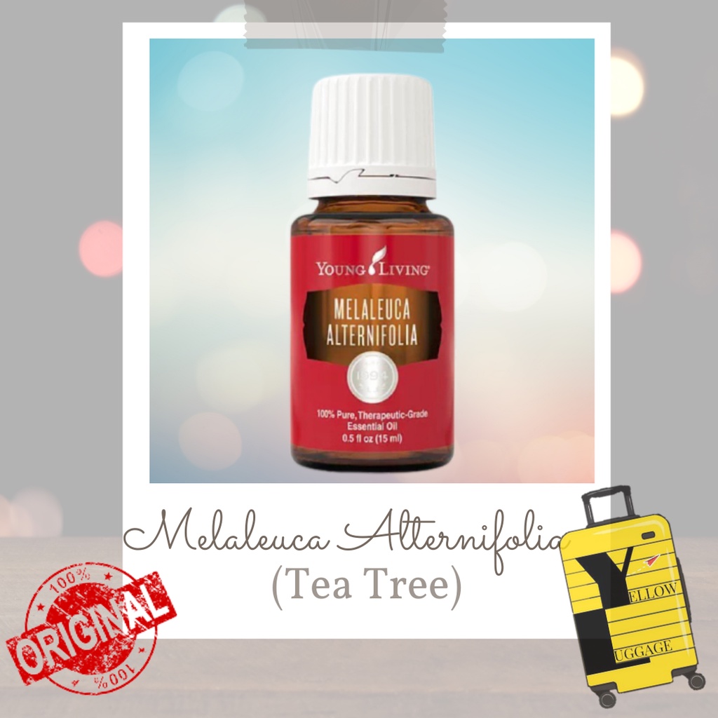 MELALEUCA ALTERNIFOLIA (TEA TREE) ESSENTIAL OIL YOUNG LIVING ORIGINAL ...