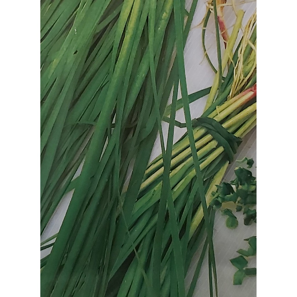 Chives Seed # Kucai Benih # 韭菜种子 ( 2gm / pack ) | Shopee Malaysia
