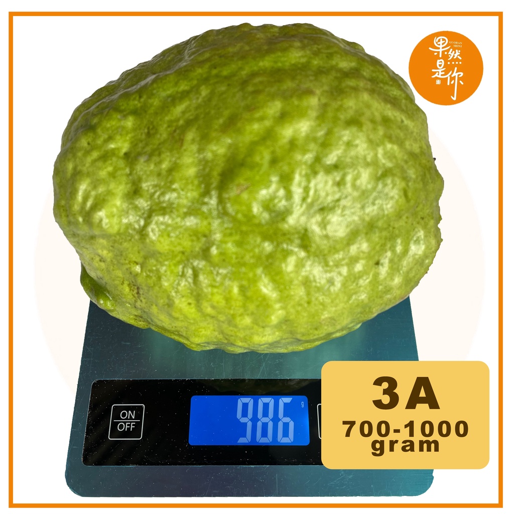 Fresh Guava Lohan / Jambu Batu Segar Lohan / 番石榴 罗汉 | Shopee Malaysia