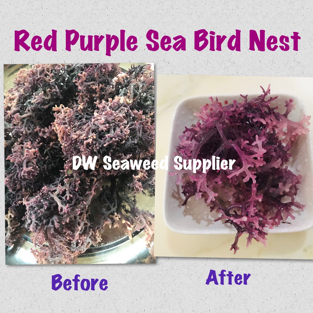 Sabah Dried Seaweed/ Sea Bird Nest /Red Purple sea Bird Nest/ 500G 海底燕窝 ...