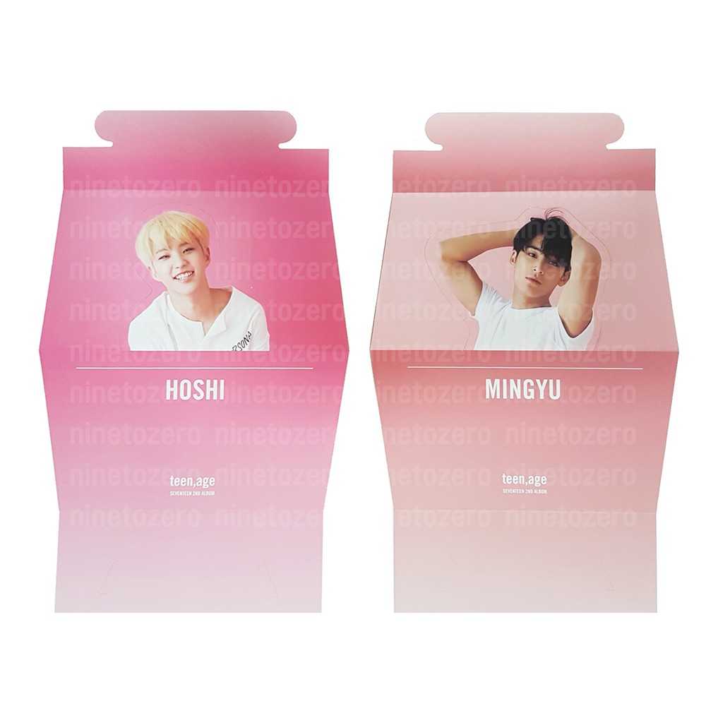 Seventeen TEEN, AGE PORTRAIT DESKTOP STAND / STANDEE HOSHI MINGYU ...