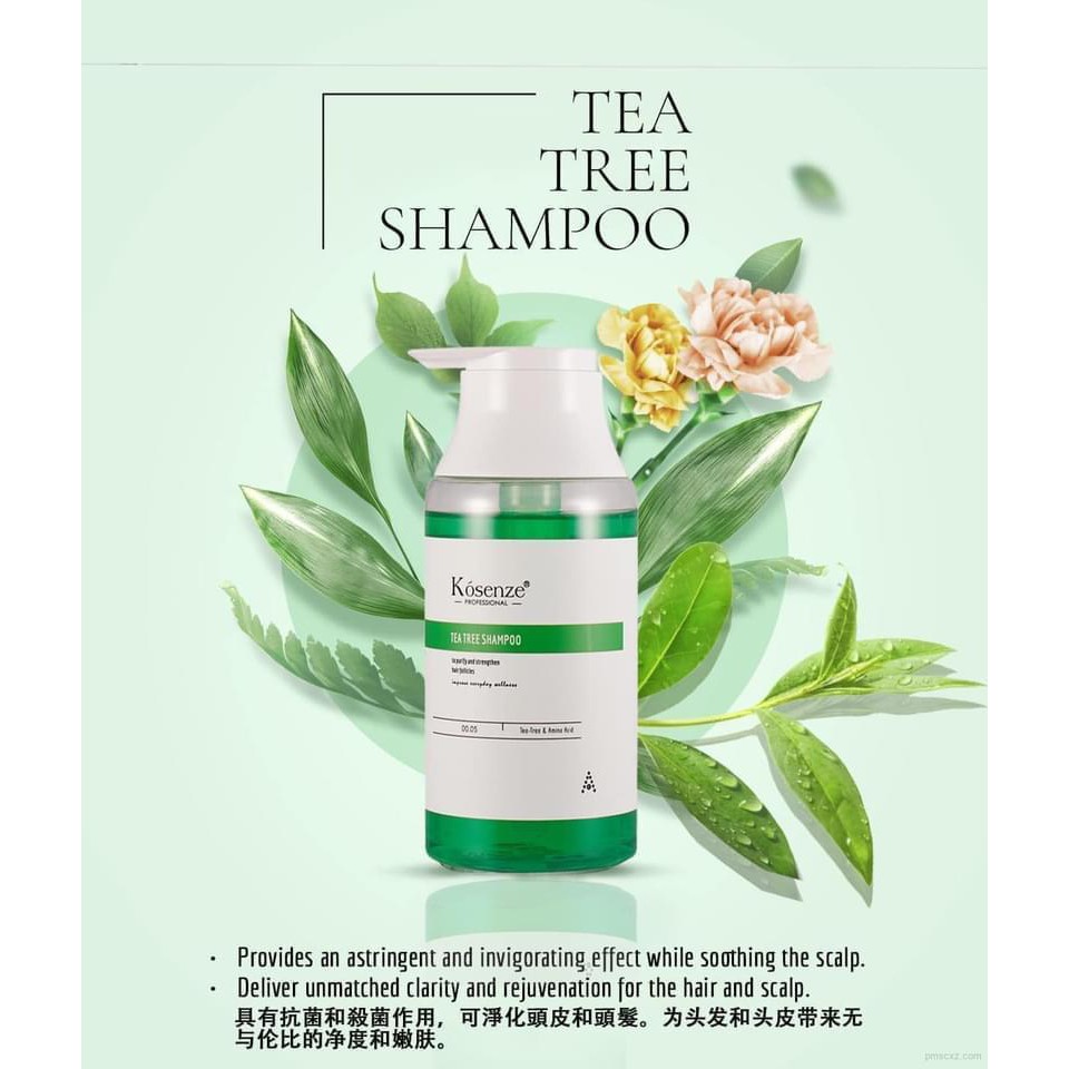 Kosenze professional New Series ( shampoo/treatment/scalp treatment ...