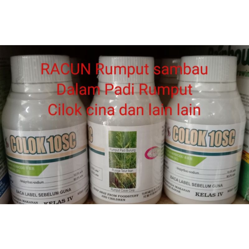 CMC COLOK 10SC 250ml Racun Rumput Padi COLOK Cina/ padi burung ...