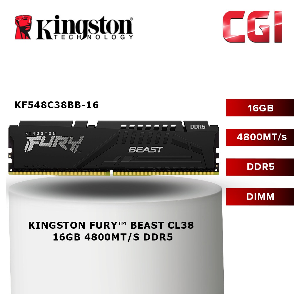 Kingston FURY Beast DDR5 16GB DDR5-4800 CL38 288-Pin DIMM - KF548C38BB-16 | Shopee Malaysia
