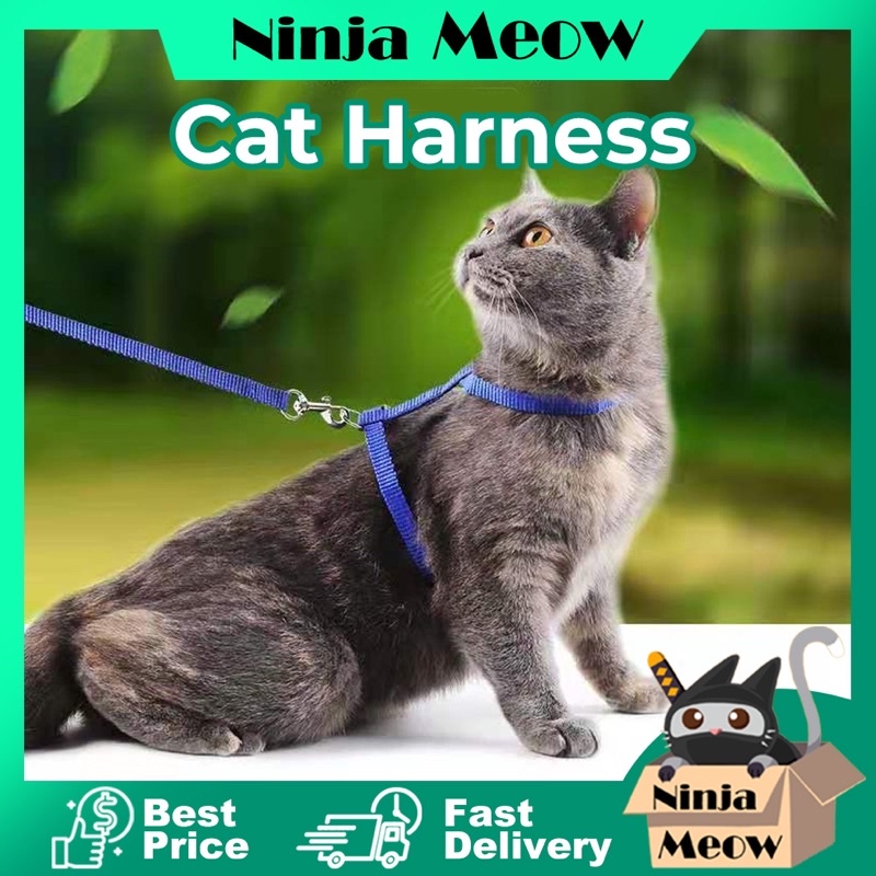 Tali Kucing Berjalan Murah Pet Harness Lead Dog Harness Lead Cat Rope ...