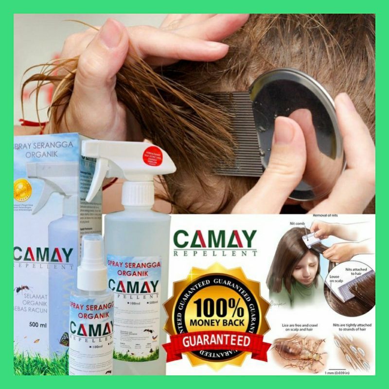 UBAT KUTU KEPALA RAMBUT | NATURAL HEAD LICE | CAMAY REPELLENT | Shopee ...