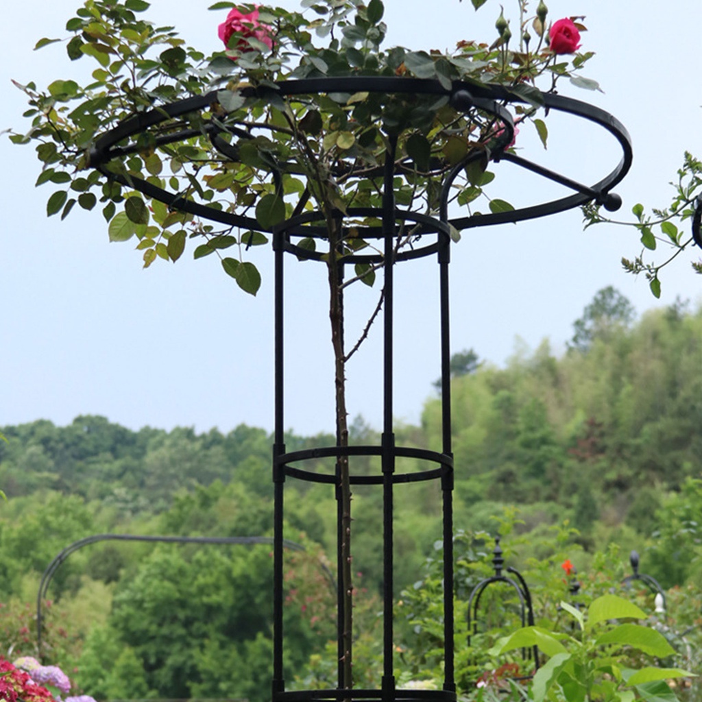 210cm Gardening Climbing Frame Plant Trellis Creative For Outdoor ...