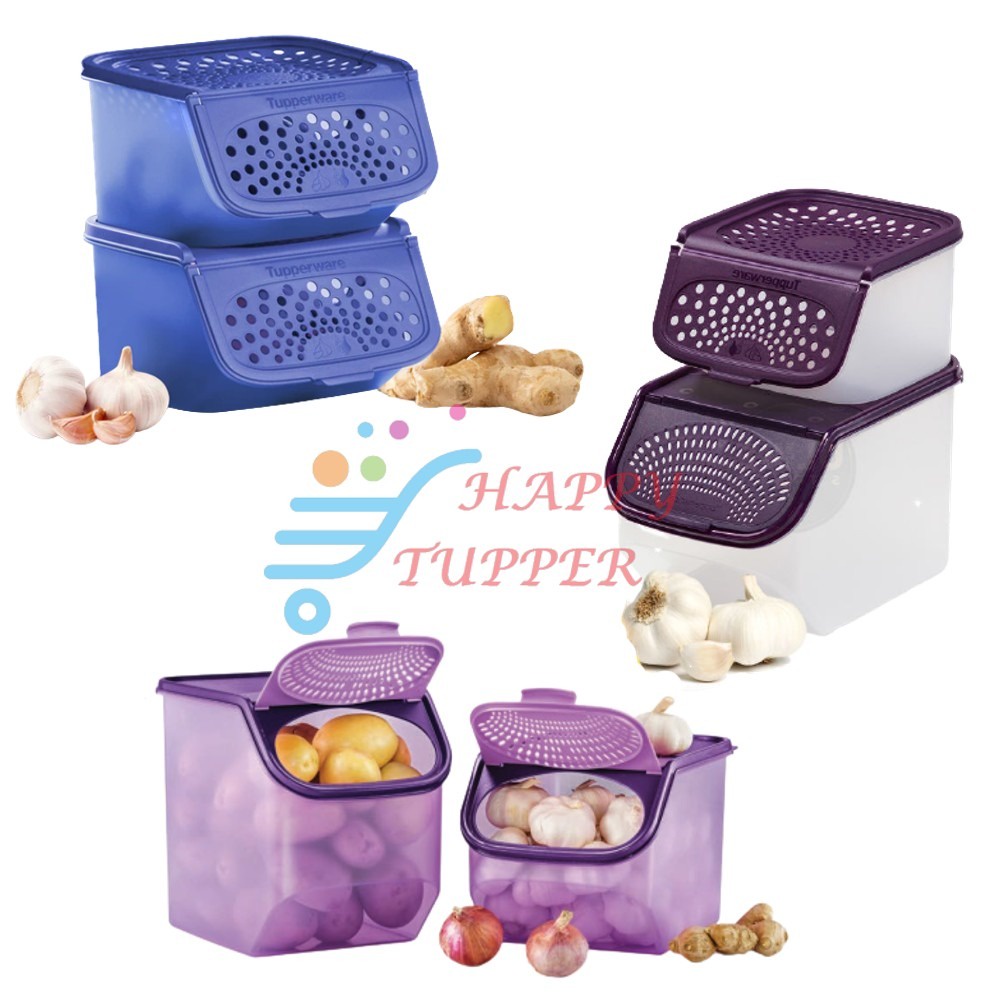 Tupperware Garlic Keeper (2.3L & 3.0L) | Shopee Malaysia