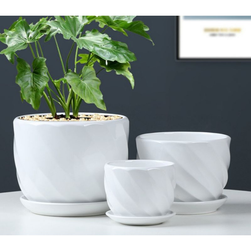 Pasu Seramik 🇲🇾 Ceramic Vase / Flower Pot / Pasu Bunga / Pasu Pokok ...