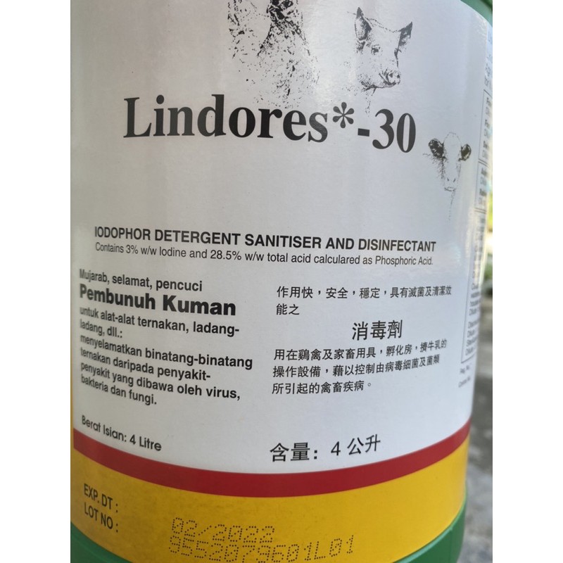 Original Iodine Disinfectant Lindores 30 & Fam 30 Pembasmi Kuman ...
