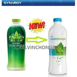 SYNERGY CHLOROPHYLLIN PLUS Chlorophyll 25oz (730ML) Expired 11/2025 ...