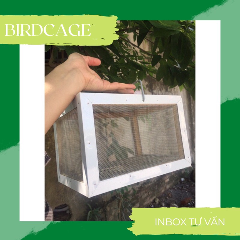 Box for crickets, locusts, grasshoppers, birds, iron box with birdcages ...