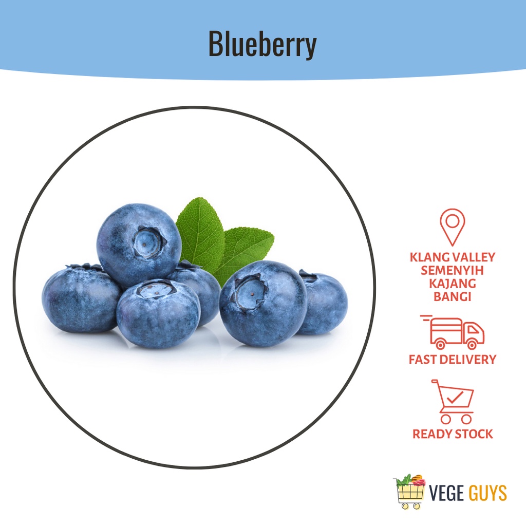 Blueberry 蓝莓 (+/-125g) | Shopee Malaysia