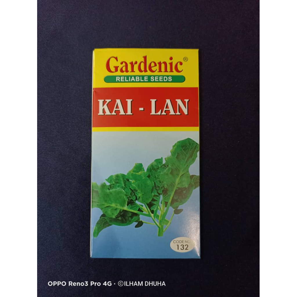 BIJI BENIH KAILAN / BENIH KAILAN / KAILAN / KAI LAN / BENIH KAI LAN ... BIJI BENIH KAILAN / BENIH KAILAN / KAILAN / KAI LAN / BENIH KAI LAN ...