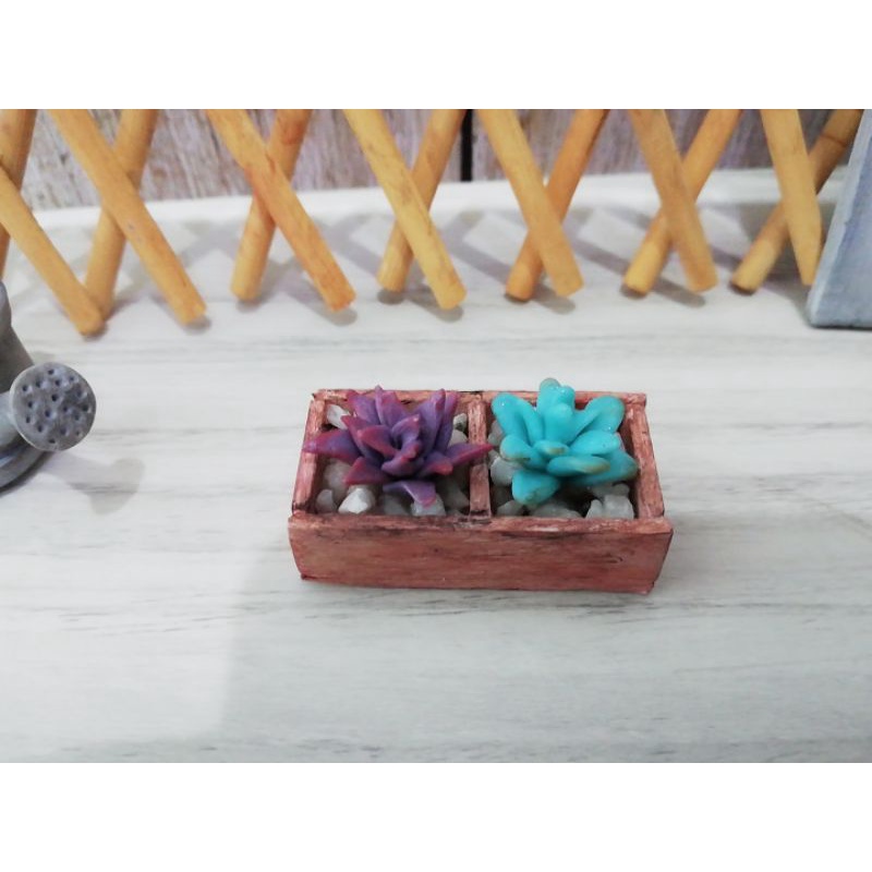 Handmade Miniature Polymer Clay Succulent plants | Shopee Malaysia