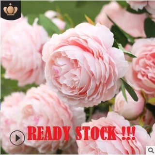 Home & Living Malaysia, Best Deals August 2024 | Shopee Malaysia