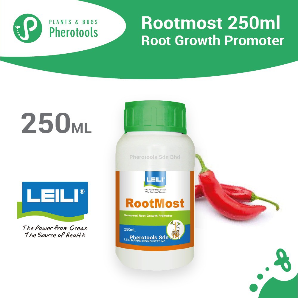Outdoor 🔥Ready Stock🔥 Garden ★250ml RootMost (LEILI) Seaweed Fertilizer ...