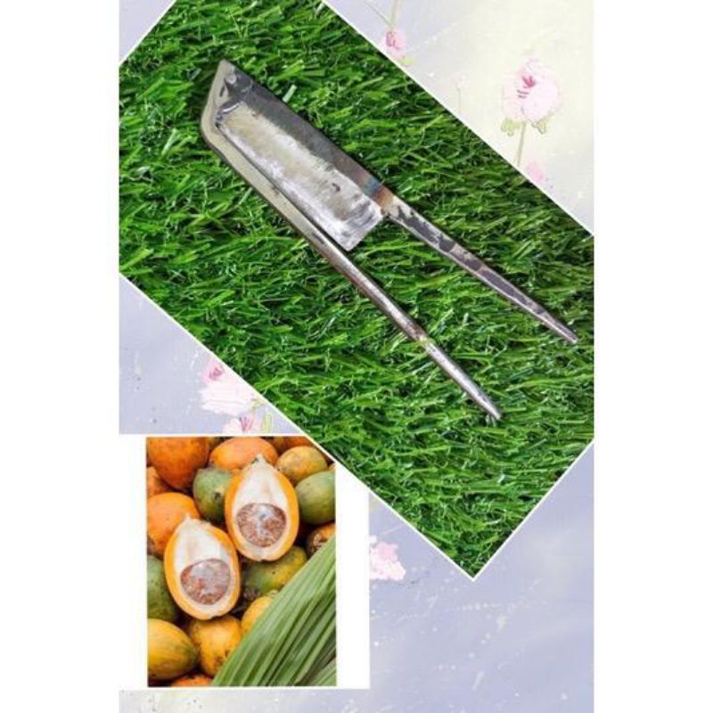 💥Borneo Kacip,,@Pisau Pinang 💥 | Shopee Malaysia