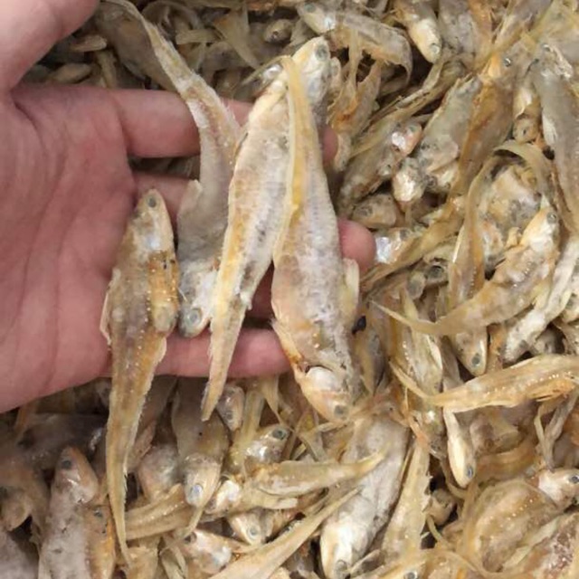 Ikan Masin Bulu Ayam -Salted Fish (Local Product) | Shopee Malaysia