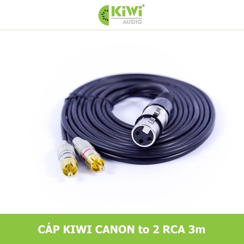 Canon to 2AV cable 3M long - speaker cable connecting from echo to ...