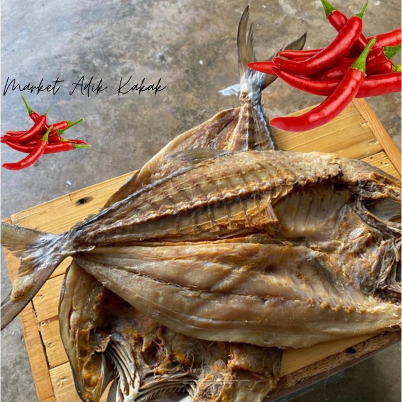 500g-1500g Seekor/Ikan Talang Masin/Ikan talang Tanjung Dawai/Ikan ...