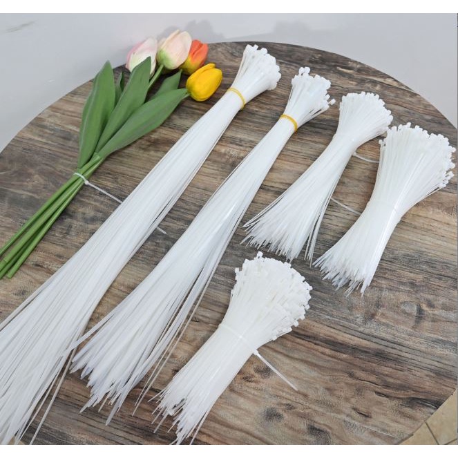 150/200/250/350/450/500/550/600/650mm Self-locking Nylon Cable Ties ...