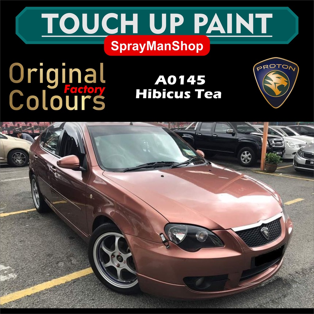 Proton Gen-2 Spray Paint For Touch Up All Original Factory Colours ...
