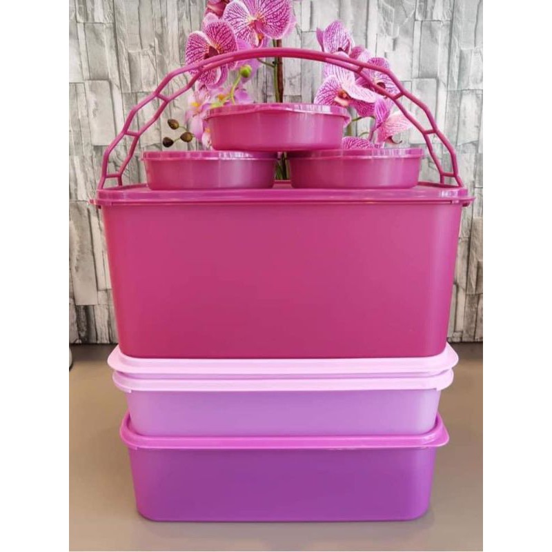 tupperware set level disember | Shopee Malaysia