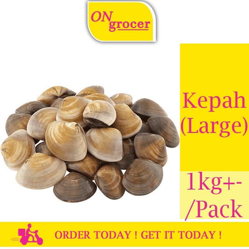 A0542 - Kepah (Large) - 1kg+- | Shopee Malaysia