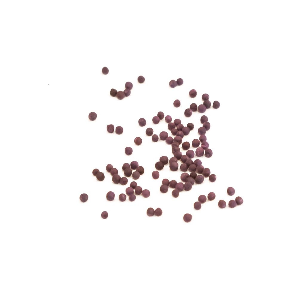 Seed: Coriander (50 pills) | Shopee Malaysia