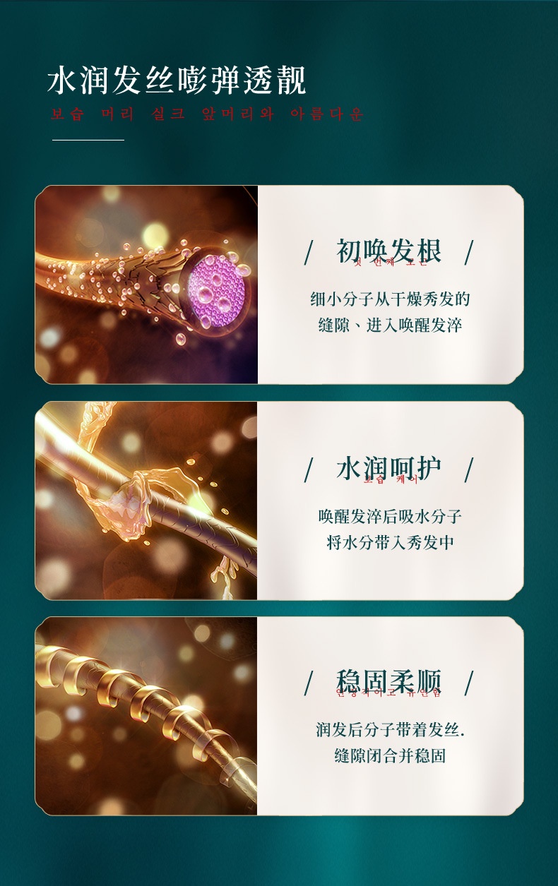 ROREC HANFEN Ginger Ginseng Polygonum Extract Deep Foam Elastic Soft ...