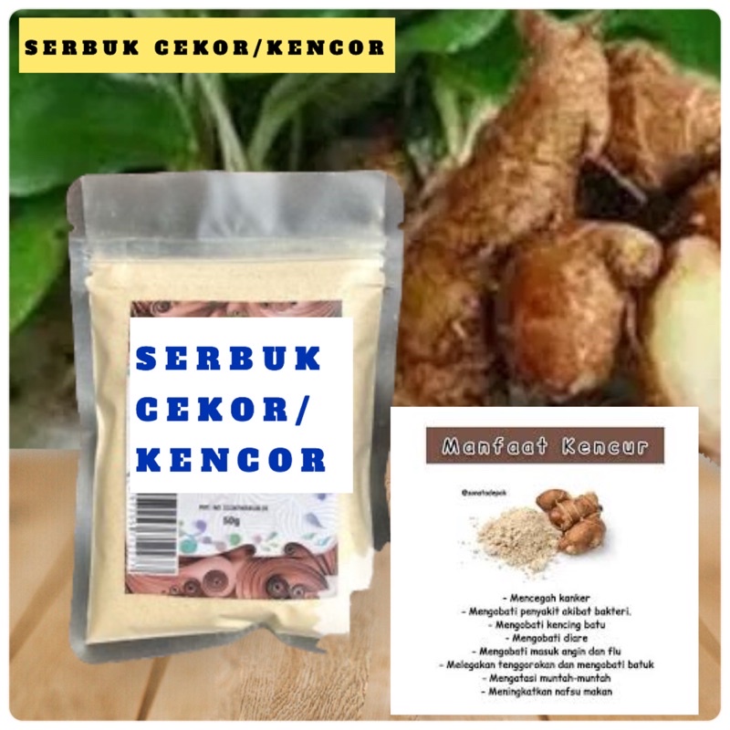 SERBUK KENCUR/CEKOR (100g) | Shopee Malaysia