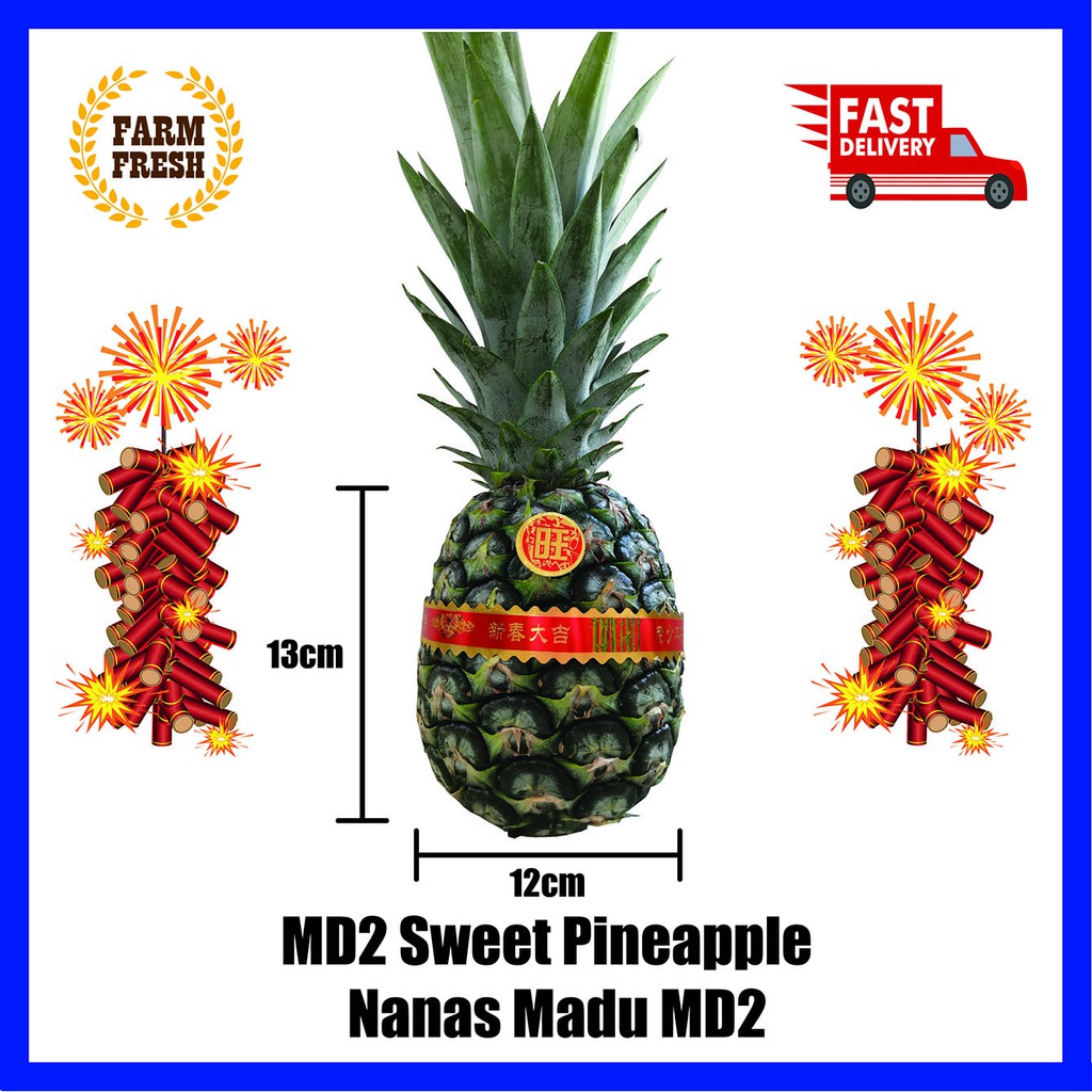 MD2 Pineapple Sweet / MD2 Nanas Madu / 黄梨 / Sweet / Manis / Ong Lai ...