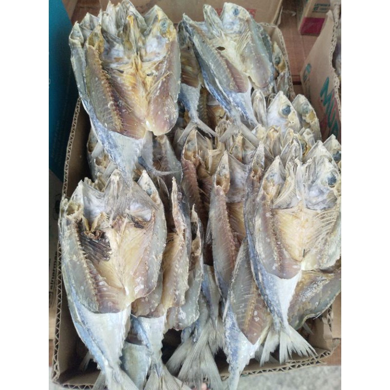 Aso aso Sumatran salted fish 250 grams | Shopee Malaysia