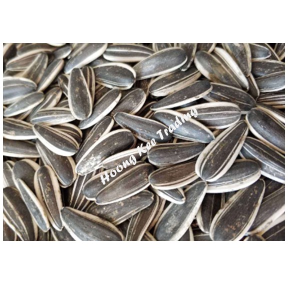 Sunflower Seed | Kuaci Bunga | 花瓜子 (500g) | Shopee Malaysia
