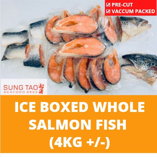ICE BOX Whole Salmon Fish (4kg+/-) 三文鱼 Sung Tao Frozen Seafood Salmon ...