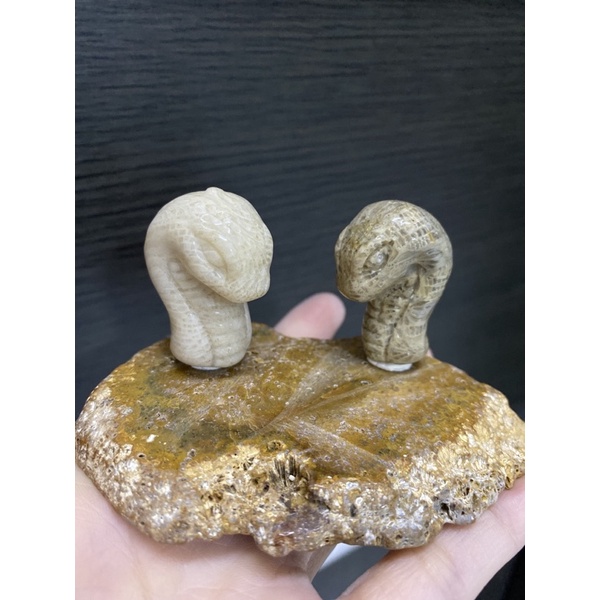 coral jade cobra deco | Shopee Malaysia