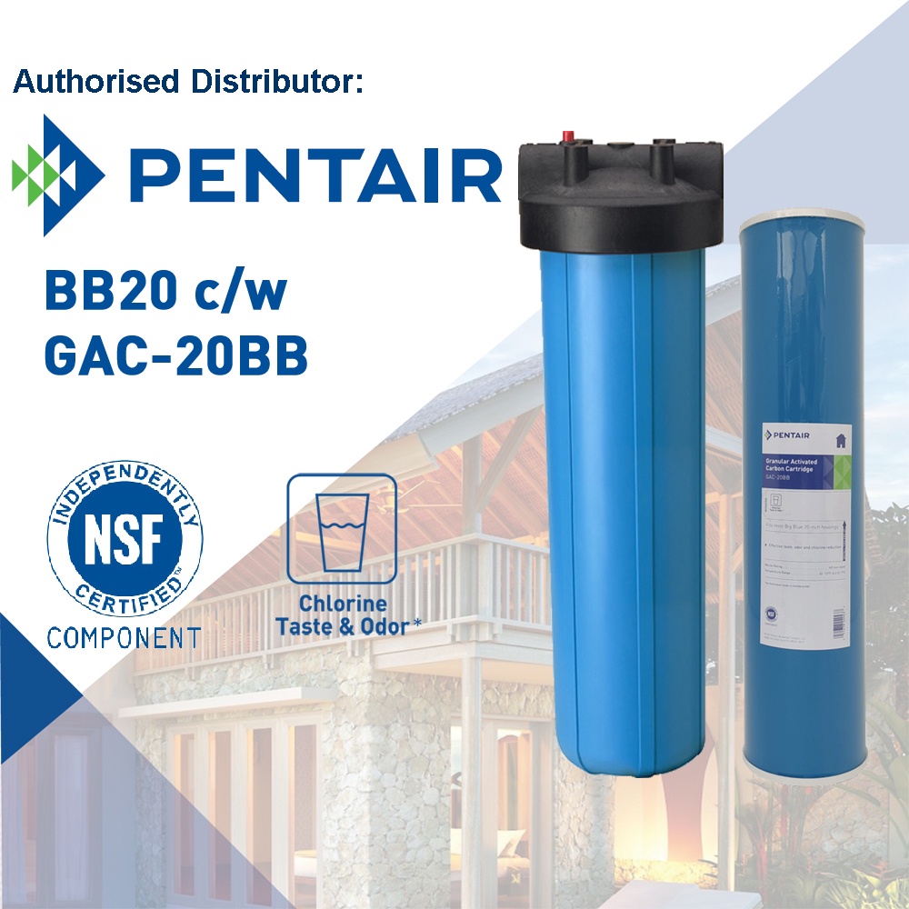 PENTAIR 150467S-LS3 20" Big Blue Water Filter System + PENTAIR GAC-20BB ...