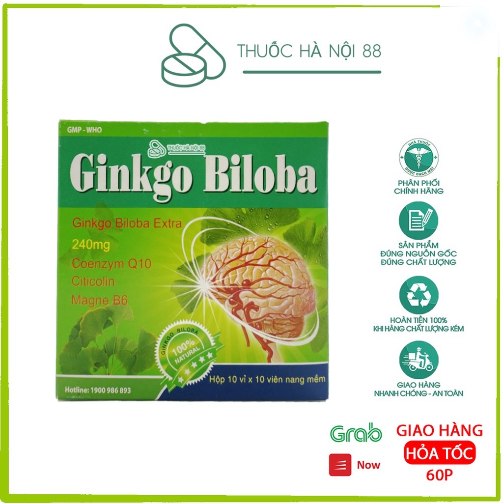 Ginkgo BILOBA 240mg + Coenzyme Q10+ Citicolin + Magne B6 | Shopee Malaysia