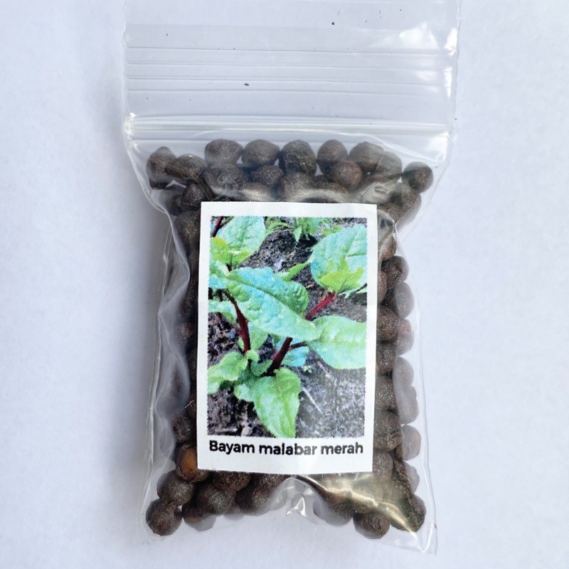 Biji benih bayam malabar merah/pucuk raja | Shopee Malaysia