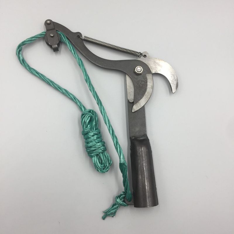 Rambutan Cutter Tree Pruner Trimmer Shear Rambutan Shear Gunting kait ...