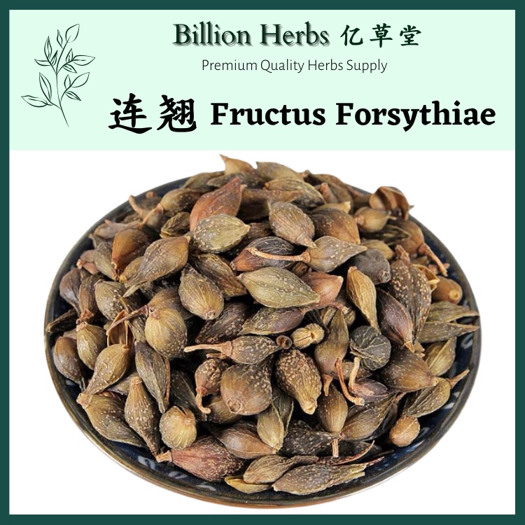 亿草堂 Billion Herbs 连翘 连翘壳 100g Fructus Forsythiae / 中药材 Chinese Herbs ...