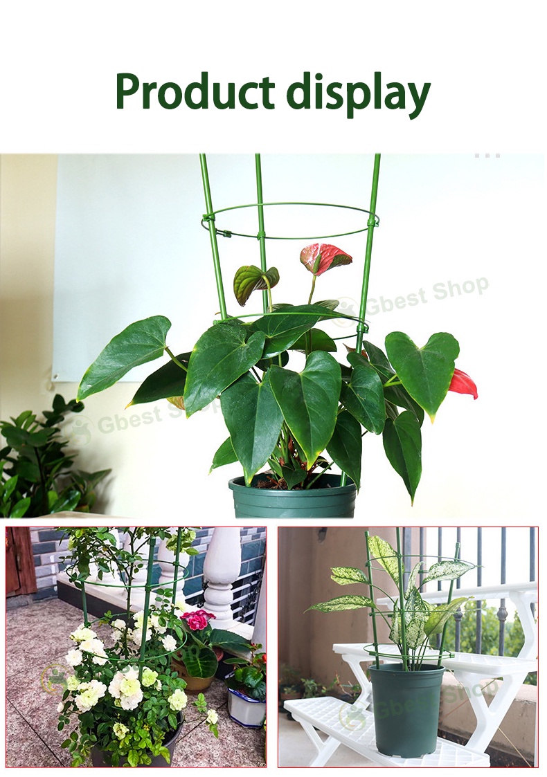 Conical plant climbing support stick net flower rack ring frame stand ...