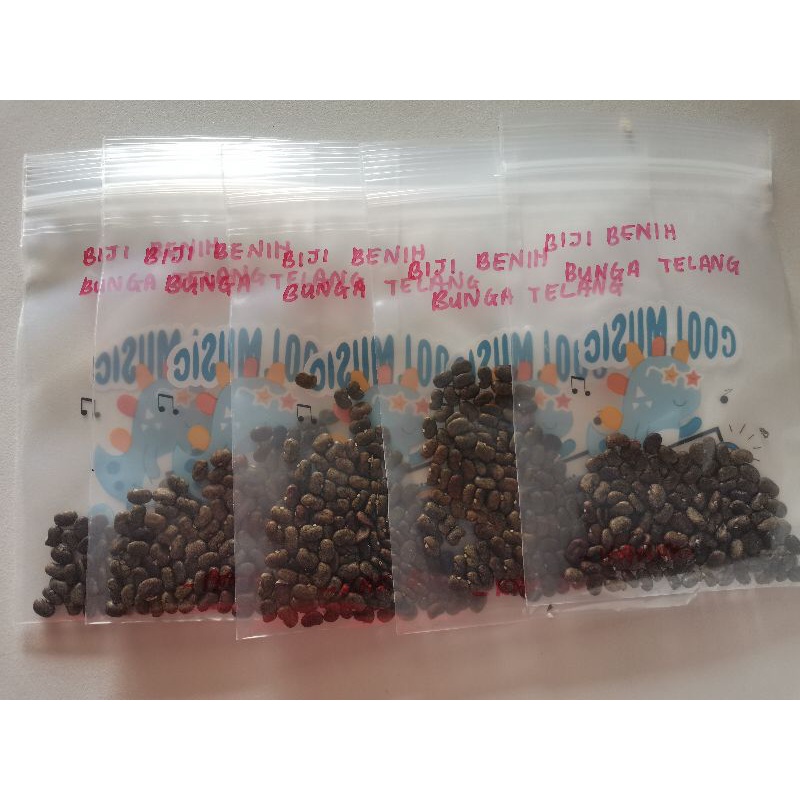 BIJI BENIH BUNGA TELANG BIRU | Shopee Malaysia