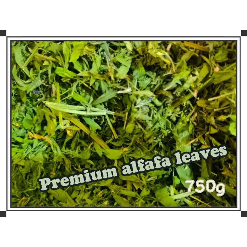 Premium alfafa leaves dustless 750g | Shopee Malaysia